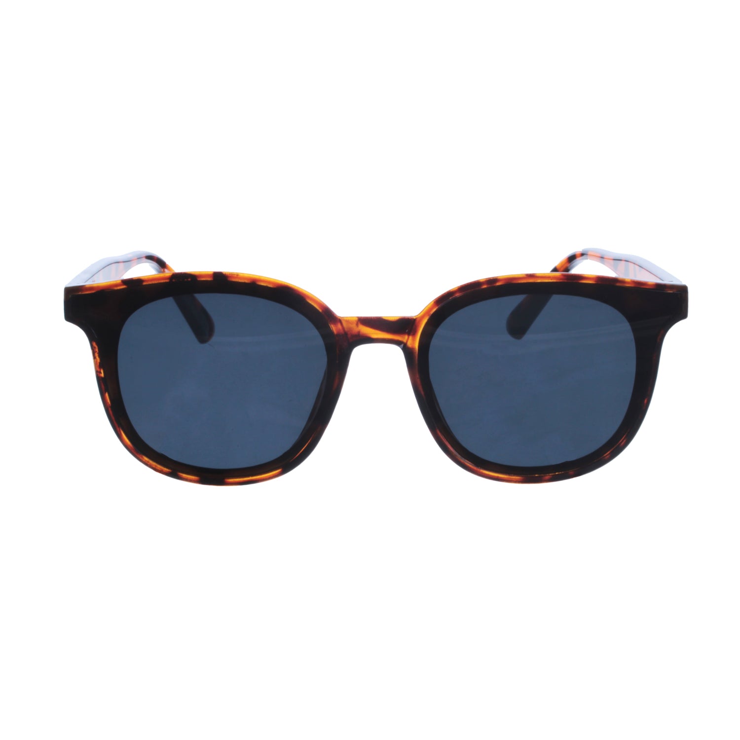 Paris Tortoise – Higher Club